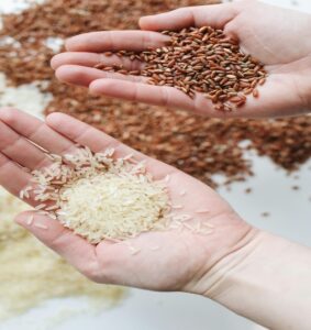 5 Benefits of Traditional Rice Varieties – Groxe – Connecting you with ...